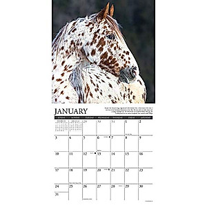 Horse: A Portrait 2021 Wall Calendar