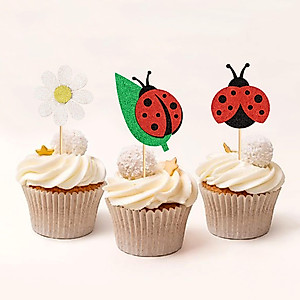 Cyodoos 24Pcs Ladybug Cupcake Toppers Flowers Insects Cupcake Picks Garden Theme Baby Shower Kids Birthday Party Cake Decorations Supplies