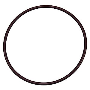 Pentair R172240 O-Ring Lid to Housing