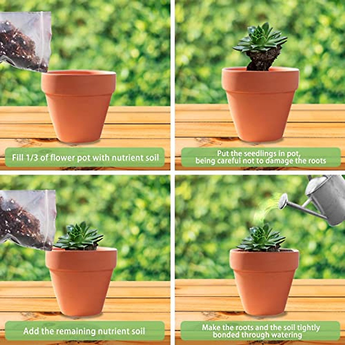 Halatool 3 QT Organic Succulent Soil Potting Mix Garden Top Soil for Indoor & Outdoor Plants Bonsai Aloe Vera Soil for Houseplants Flowers Vegetables & Herbs