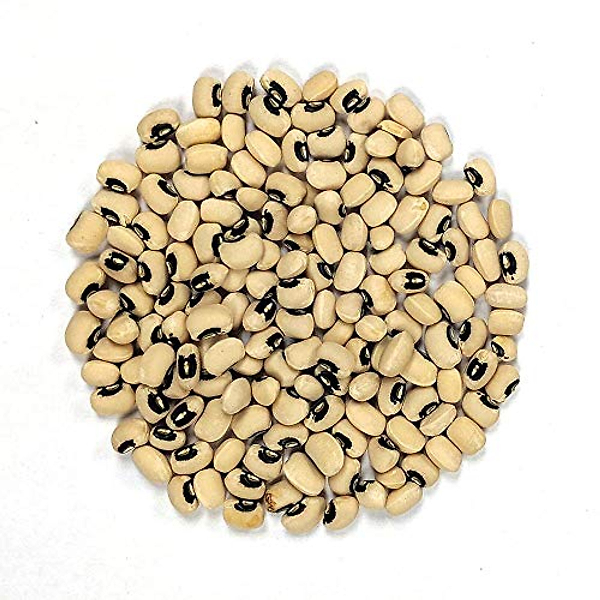 California Blackeye Cowpea Bush Bean Seeds for Planting, 50+ Heirloom Seeds Per Packet, (Isla's Garden Seeds), Non GMO Seeds, Botanical Name: Vigna Unguiculata, Great Bush Bean Variety