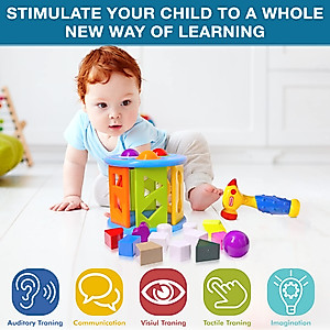 ODELA Match Roll Shape Sorter – Learning Toys with 10 Shaped Parts – Educational Toy with Three Balls and Musical Hammer – Help Your Kid Achieve Multiple Skills – Activity Cube Imagination Development