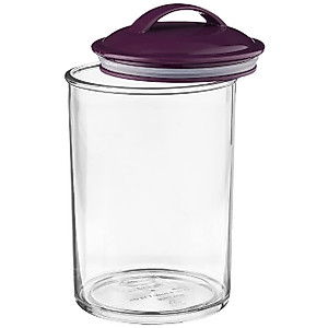 Calypso Basics by Reston Lloyd Acrylic Storage Canisters, Set of 3, Plum