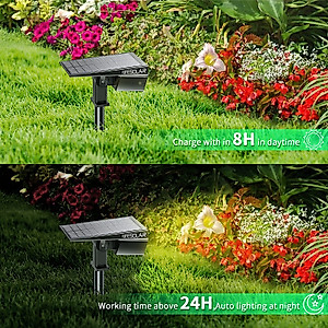 NFESOLAR 2-in-1 Solar Lights Outdoor Garden (1 Pack), 38 LEDs IP65 Waterproof Solar Motion Spotlights Outdoor Decorative for Patio, Yard, Garden, Garage, Pathway, Warm White