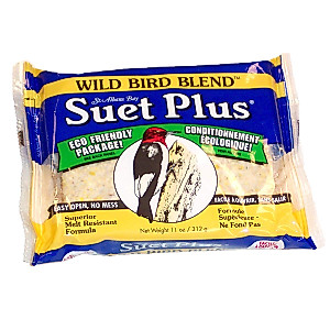ST. ALBANS BAY SUET PLUS Variety Pack of 4 Flavors of Suet Cakes for Wild Birds 11 Ounces Each