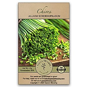 Gaea's Blessing Seeds - Chives Seeds (1000 Seeds) Non-GMO Seeds with Easy to Follow Planting Instructions - Open-Pollinated Heirloom 88% Germination Rate 1.5g (Single Packet)