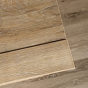 Sauder Garden Villa TV Stand, L: 47.32" x W: 18.82" x H: 25.47", Orchard Oak Finish