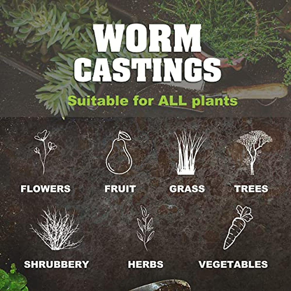 20 oz 100% Organic Worm Castings – Natural Superfood for Plant Growth, Root Development & Growing Healthier, Stronger Crops – Non Toxic & Kind to Soil – Resealable Zip Pouch – Life Cycle Organics
