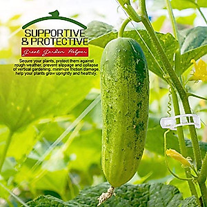 Fandamei 300 PCS Plastic Garden Plant Support Clips, Tomato Clips, Plant Ties, Trellis Clips, for Tomato Cucumber Flower Squash Vine, 1” Inner Diameter