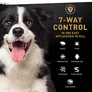 NEXTSTAR Flea and Tick Prevention for Dogs, Repellent, Treatment, and Control, Fast Acting Waterproof Topical Drops for Small, Medium and Large Dog and Puppies, 1 Month Dose