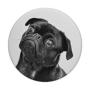 Black Pug Cute Dog Portrait Image Dogs Photo Funny Pugs Gift PopSockets PopGrip: Swappable Grip for Phones & Tablets