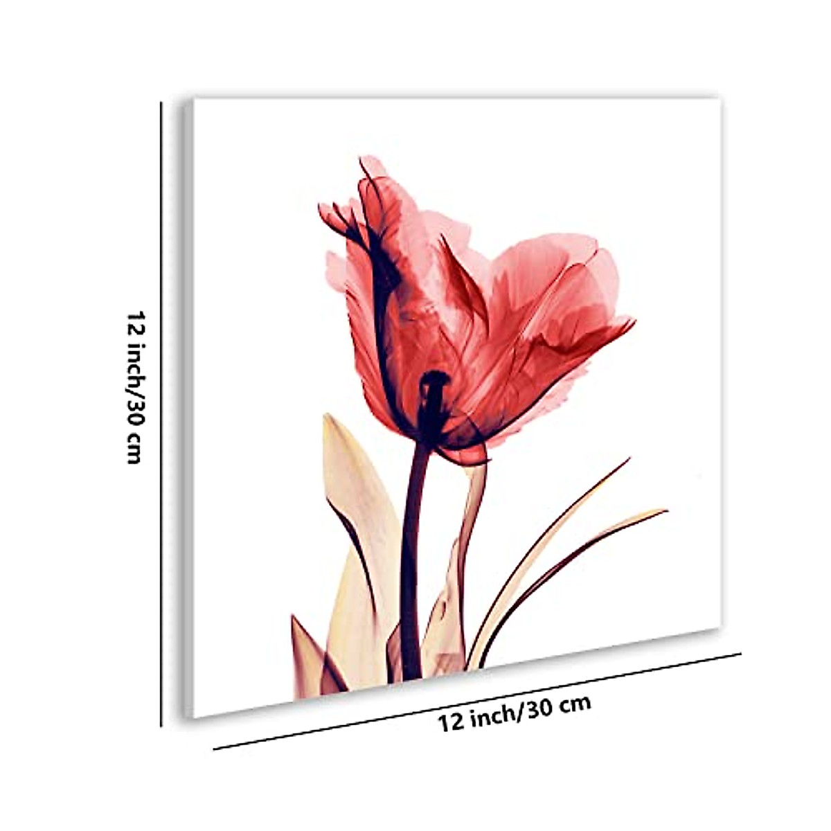 Red Tulip Wall Art Prints - Plant Paintings Decor for Kitchen Natural Style Flowers Canvas Pictures Artwork for Living Room Bathroom Teens Bedroom Home Decoration Framed 12 x 12 Inches Ready to Hang