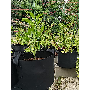 PHYEX 12-Pack 5 Gallon Nonwoven Grow Bags, Aeration Fabric Pots with Durable Handles, Come with 12 Pcs Plant Labels