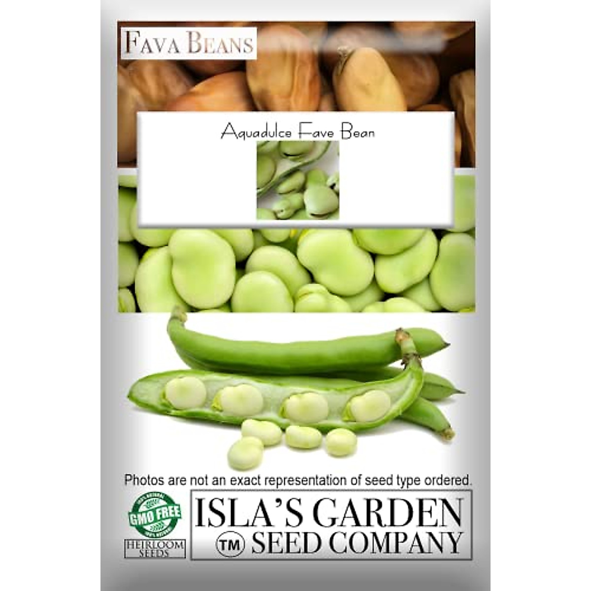 Aquadulce Fava Bean Seeds for Planting, 25 Premium Heirloom Seeds Per Packet, (Isla's Garden Seeds), Non GMO Seeds, Botanical Name: Vicia faba, Great Home Garden Gift
