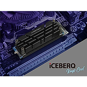 Vantec ICEBERQ M.2 NVMe/SSD Heat Sink with Thermal Pad (HS-NVME150-BK, Black)