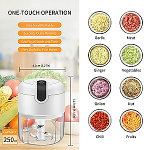 Vshinic Electric Mini Garlic Chopper,Food Processor,Portable Cordless Garlic Mincer Masher,Meat Grinder with USB Charging For Vegetable,Chili,Fruits,Ginger,Baby Food,Seasoning 250ml(White)