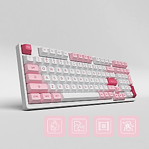 Akko Prunus Lannesiana 3098 98-Key RGB Hot-swappable Mechanical Gaming Keyboard, 2.4G Wireless/Bluetooth/Wired with PBT Double-Shot Keycaps for Mac & Win (3098B, Jelly Blue Switches)