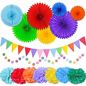 LOLStar Birthday Decorations, Rainbow Party Poms Decorations for Women and Girls, 17pcs Include Happy Birthday Banner, Colorful Paper Honeycomb Poms, Circle Dots Hanging Decorations, Paper Fans