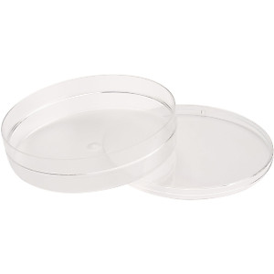 Pioneer Plastics 173C Clear Round Plastic Container with Frosted Bottom, 6" W x 1.375" H