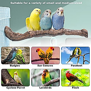 COUNER Bird Parrot Perch Stand Natural Wild Grape Stick Bird Play Stand Bird Toys Grinding Paw Cage Accessories for Cockatiels Budgie Parakeets Conures Love Birds Finches