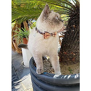 SuperBuddy Cat Collars Breakaway with Cute Bow Bell - 2 Pack Kitten Collar Plaid Cat Collar with Removable Bowtie for Cats Kittens