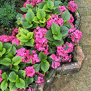 12 Pack Plant Support Stakes,4mm Thick Metal Peony Support,Plant Cage with Twist Ties & Plant Labels,15.7 Inch Plant Supports for Outdoor & Indoor Plants - Peony,Tomato,Hydrangea,Rose,Vine