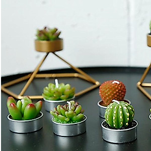 WISDOMTOY Holiday Party Succulents Mini Meat Plant Romantic Candle Decoration, Set of 6