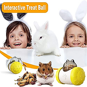 Rabbit Interactive Treat Ball, Guine Pig Interactive Toy and Meal Dispenser, Helps regulate pet gastrointestinal problems, Improve Digestion and Fight Obesity, Can Use with Food or Treats