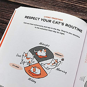 What Cats Want: An illustrated guide for truly understanding your cat