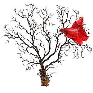 SunGrow Betta Fish, African Frog & Hermit Crab Aquarium Sea Fan, Tank Decoration, Sea Willow Aquarium Décor