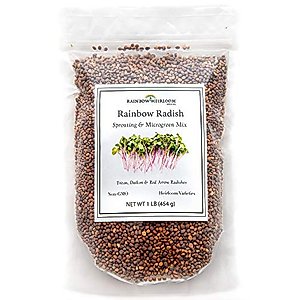 Rainbow Radish Sprouting Seeds Mix | Heirloom Non-GMO Seeds for Sprouting & Microgreens | Contains Red Arrow, Purple Triton & White Daikon Radish Seeds 1 lb Resealable Bag | Rainbow Heirloom Seed Co.