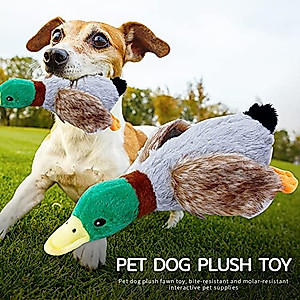Dog Toys for Aggressive Chewers, Pet Mallard Duck Dog Toy, Squeaky Plush Puppy Dog Toy for Small Dogs (Duck Paw Style)