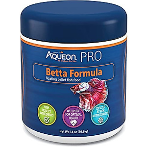 Aqueon Betta Tank Bundle