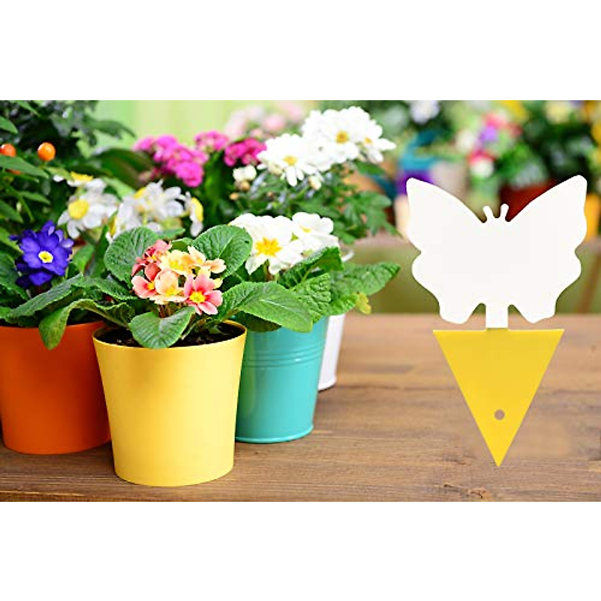14 Sticky Fruit Fly Trap Yellow Insect Bug Fungus Gnat Double Side Killer for Indoor Outdoor Plants