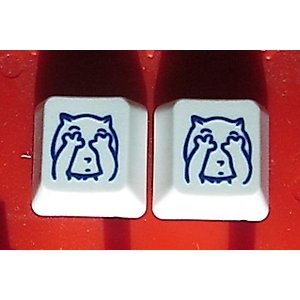 OEM R4,Cherry Profile R4 Keycaps,Top/Side Printed Dye-Sublimation Cat Switch Relacement for Cherry MX Gaming Mechanical Keyboard (2 Keys Top Printed Not Backlit)