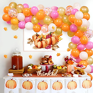 Little Pumpkin Autumn Party Balloon Garland Arch, Fall Baby Shower Pink Orange Balloons for Fall Theme Bridal Shower Thanksgiving Wedding Engagement Birthday Party