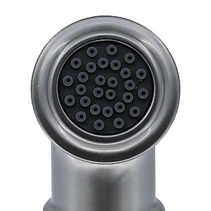 Danco, Brushed Nickel, Universal Decorative Side Spray and Hose, 1-Pack (89216), Pack of 1