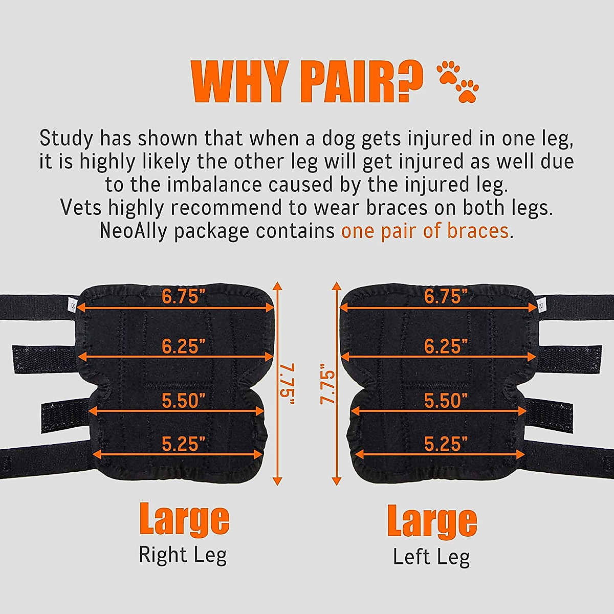 NeoAlly Dog Canine Braces for Rear Legs Super Supportive with Dual Metal Spring Inserts to Stabilize Dog Hind Legs, Help Dogs with Injuries, Sprains, Arthritis, ACL (L Pair)