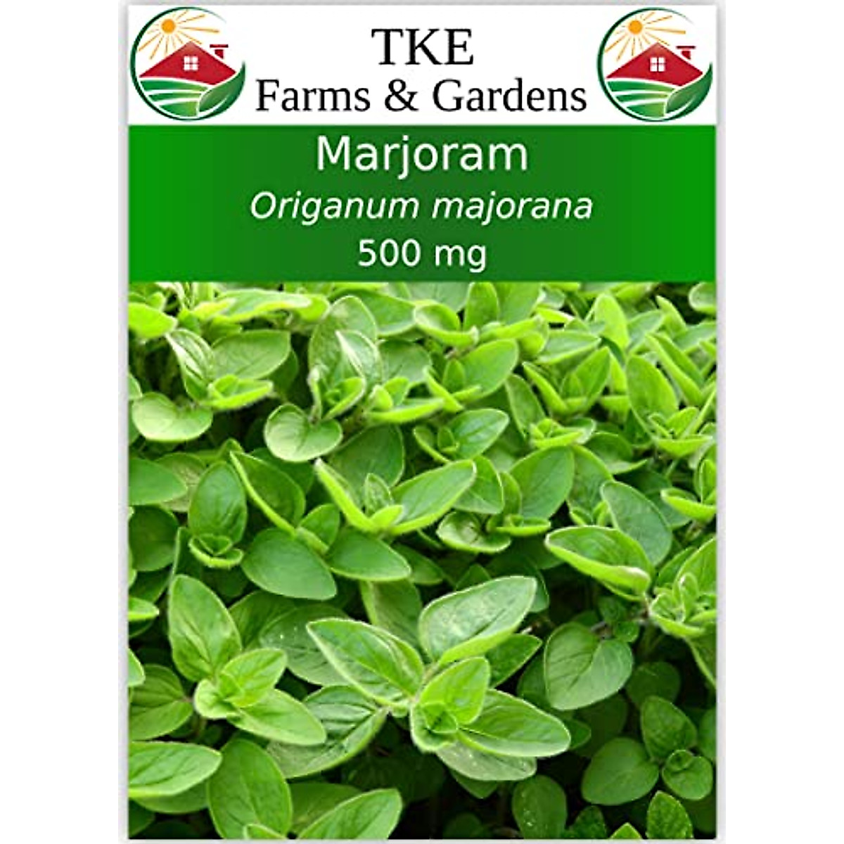 TKE Farms - Marjoram Seeds for Planting, 500 mg approxi. 2000 Seeds, Origanum majorana