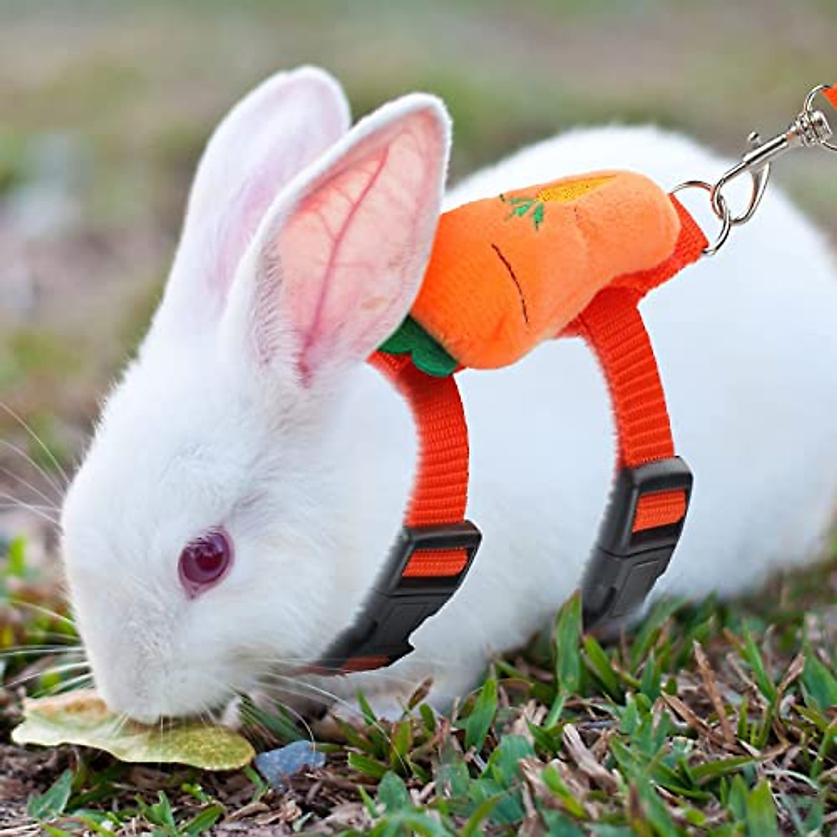 4 Sets Adjustable Bunny Rabbit Harness and Leash Set Small Pet Cute Vest Harness Leash Ferret Harness Guinea Pig Harness Ferret Leash with Decorations for Bunny Kitten Puppy, Small Pets (Fruit)