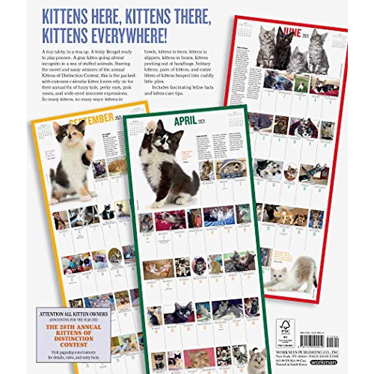 365 Kittens-A-Year Picture-A-Day Wall Calendar 2021
