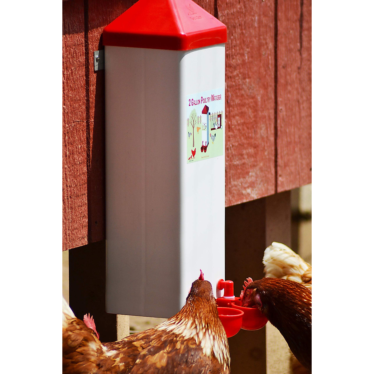 RentACoop 2 Gallon Chicken Waterer with Auto-Fill Cups, Horizontal Nipples, Anti-Roost Cone and Mounting Kit - Suitable for Chickens, Quail, Ducks, Geese, Turkey and More