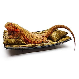 Chaise Lounge for Bearded Dragons, Brown Batik Fabric