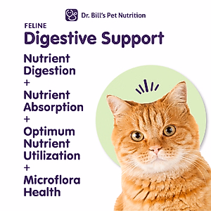 Dr. Bill's Feline Digestive Support Cat Prebiotics and Probiotics with Ginger Root, Psyllium Husk, Lemon Balm & More | 41 Active Ingredients for Better Digestion & Gut Health | Made in The USA