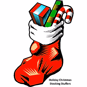 Semper Paratus Gear TYVEK Credit Card Sleeves 100% MADE IN USA - Anti-theft for Travel wallet, purse. RFID Blocking from identity theft (10PAK)