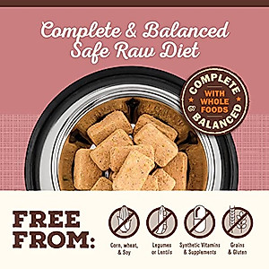 Primal Freeze Dried Dog Food Nuggets Turkey & Sardine 14 oz, Complete & Balanced Scoop & Serve Healthy Grain Free Raw Dog Food, Crafted in The USA