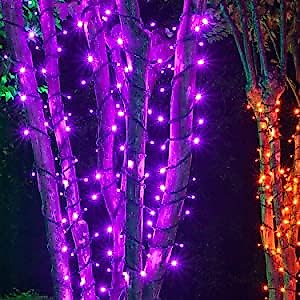 FUNPENY Halloween Clear Mini String Lights, Total 32FT 100LED Battery Operated Waterproof Fairy Lights with 8 Lighting Modes, Halloween Decorations for Indoor Outdoor Garden Party(Purple,2 Pack)
