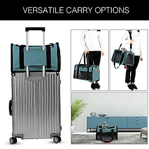 Akinerri Airline Approved Pet Carriers,Soft Sided Collapsible for Travel, Puppy, Small Medium Cats