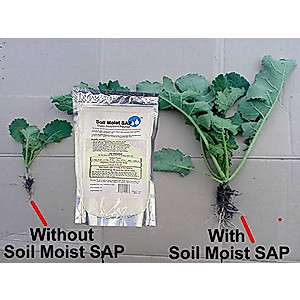 Water Storing Crystals Super Absorbent Hydro Gel Granules Polymer 1 Pound (Small Granular_20-100 mesh)