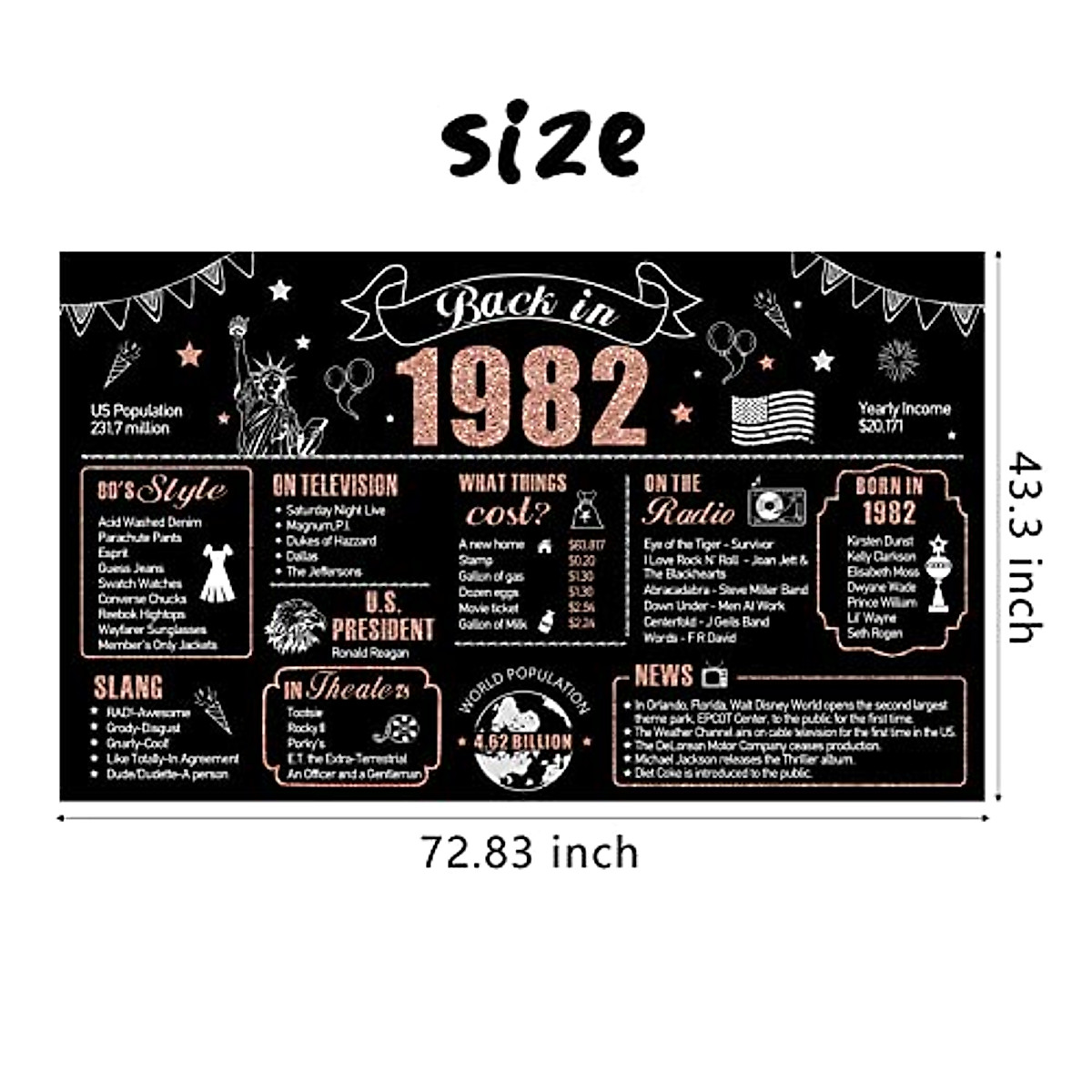 41st Birthday Banner Backdrop Decorations for Women, Back in 1982 Happy 41 Birthday Photo Background Sign Party Supplies, Rose Gold 41 Year Old Birthday Photography Poster Decor